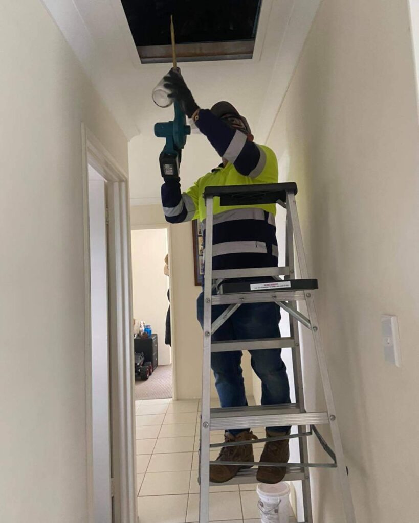 Residential & Commercial Pest Control Perth | Easy 24x7