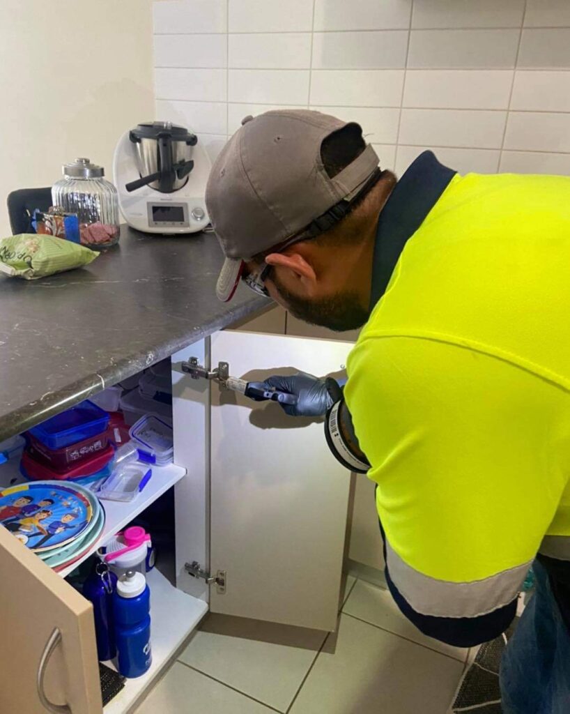 Residential & Commercial Pest Control Perth | Easy 24x7