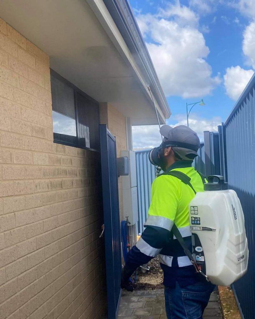 Residential & Commercial Pest Control Perth | Easy 24x7