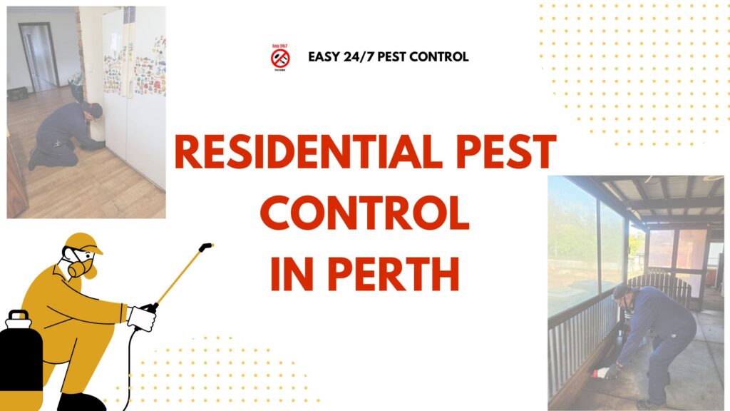 Residential Pest Control - Easy Pest Control