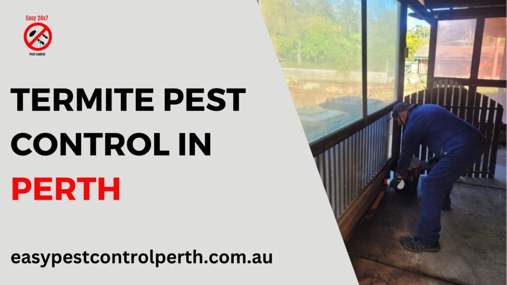Termite Pest Control - Easy Pest Control